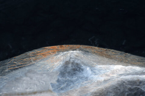 INGRID SANDBERG - Kvirr